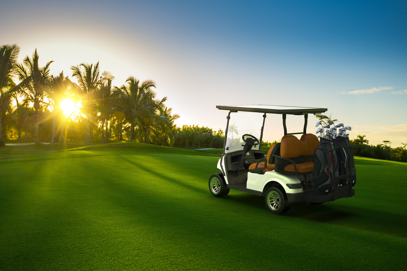 Products – Lani EV